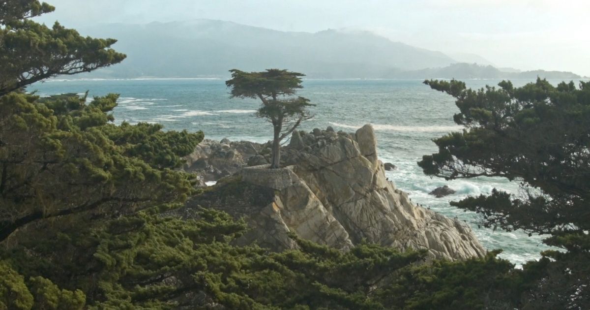 Videographer for Hire - Mike Buffo at House of 8 Media